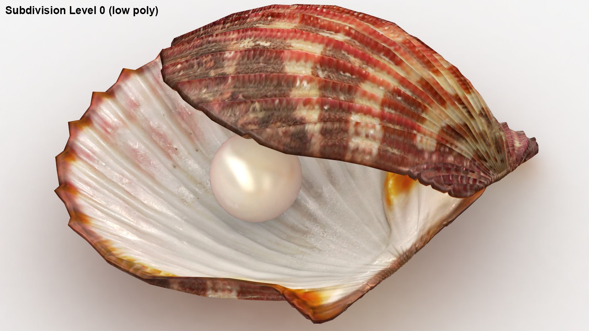 3D Clam Shell Pearl Pose - TurboSquid 1545171