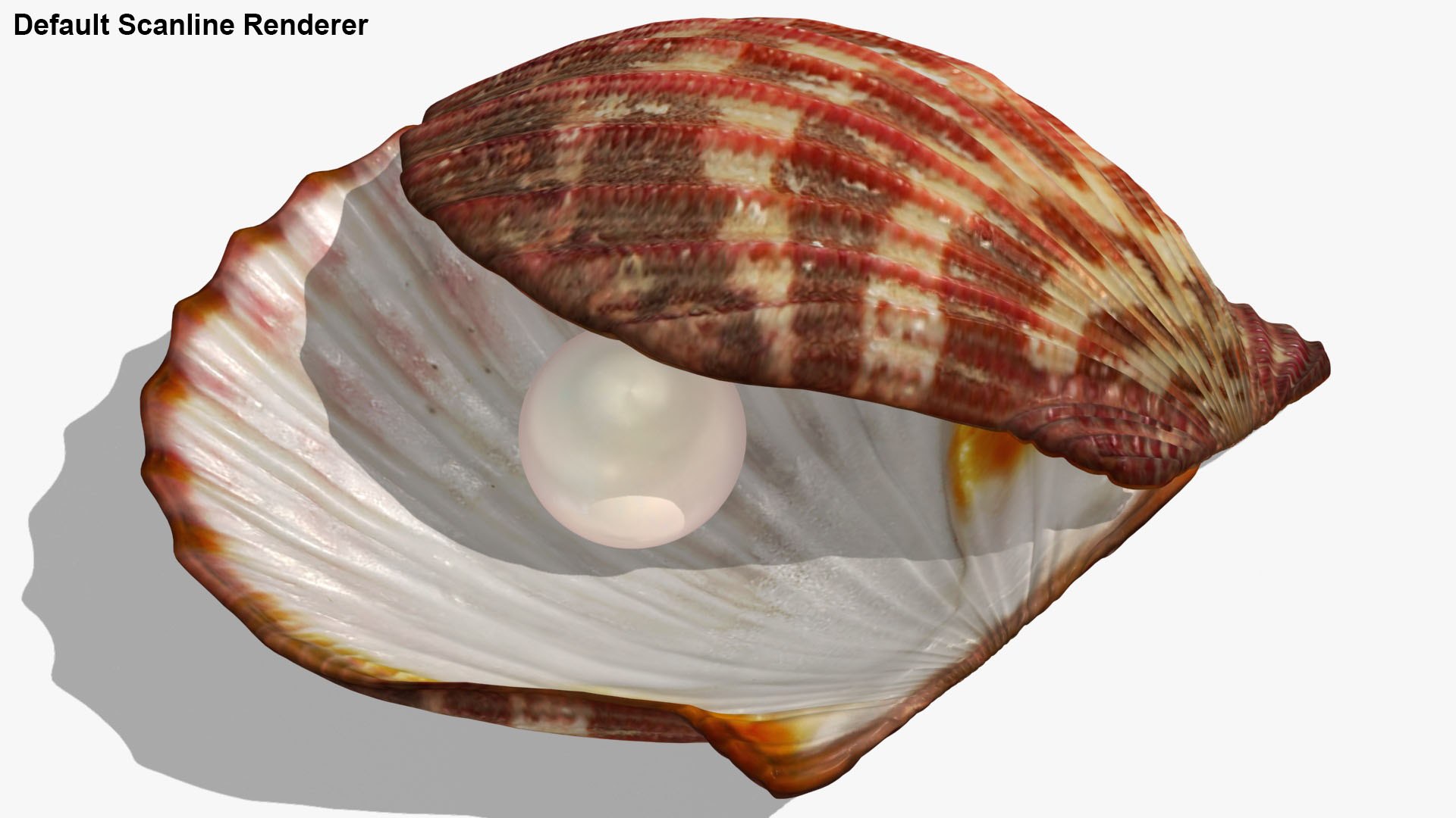 3D Clam Shell Pearl Pose - TurboSquid 1545171