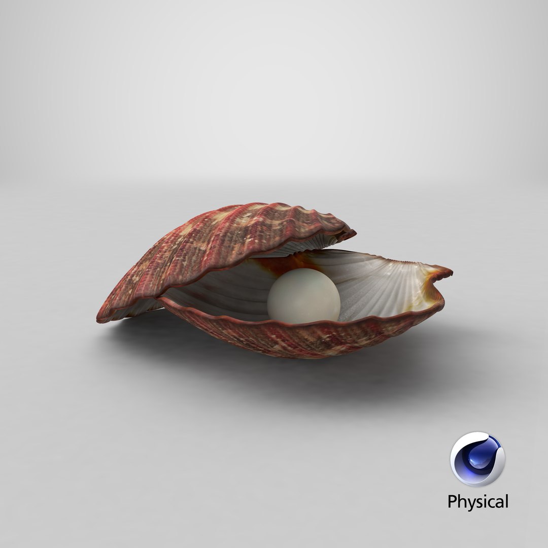 3D Clam Shell Pearl Pose - TurboSquid 1545171