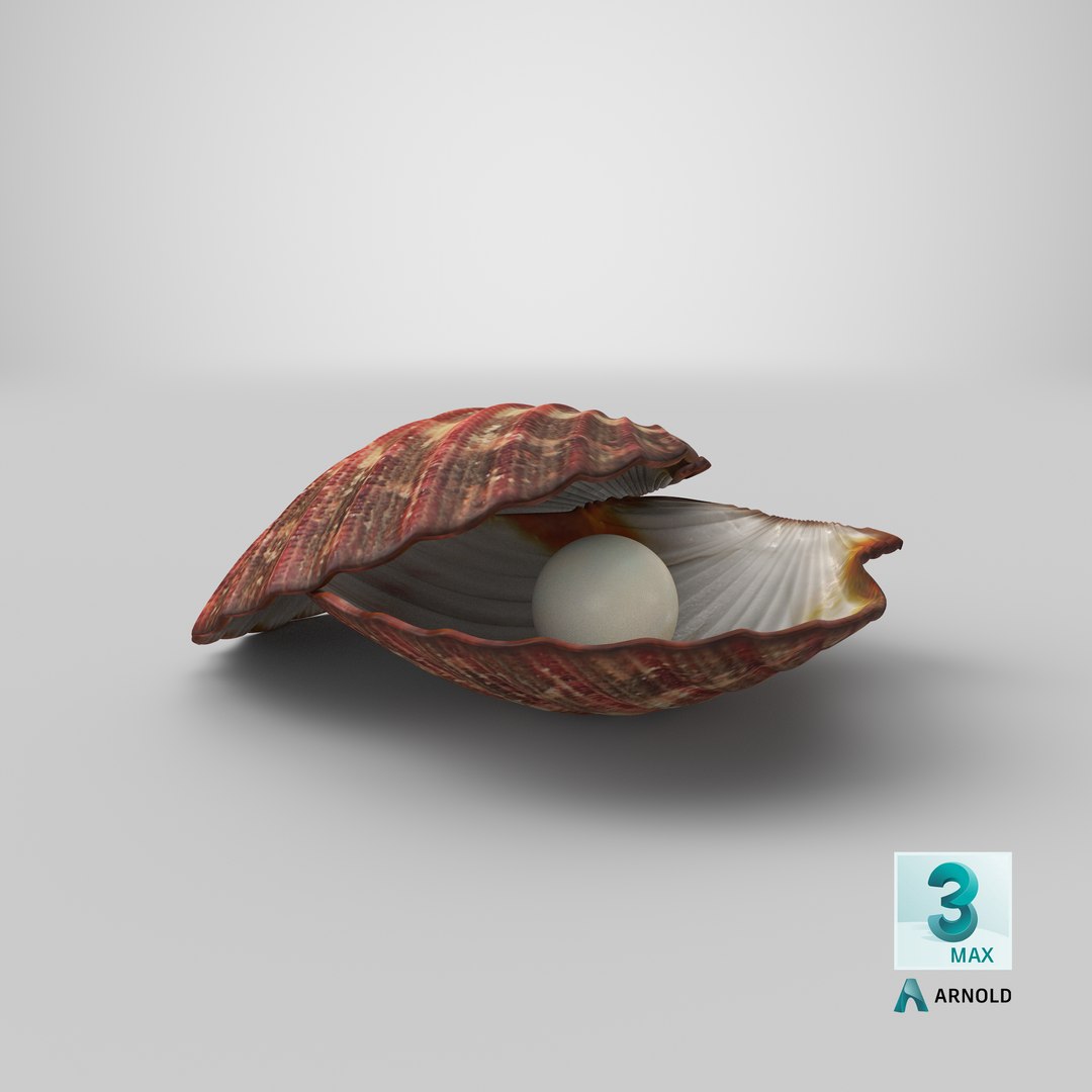3D Clam Shell Pearl Pose - TurboSquid 1545171