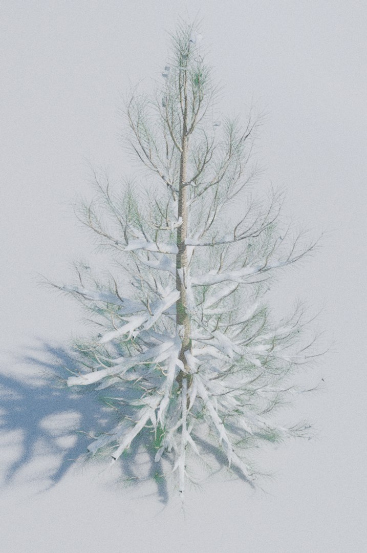 3D Snow Covered Pine Tree Model | 1147617 | TurboSquid