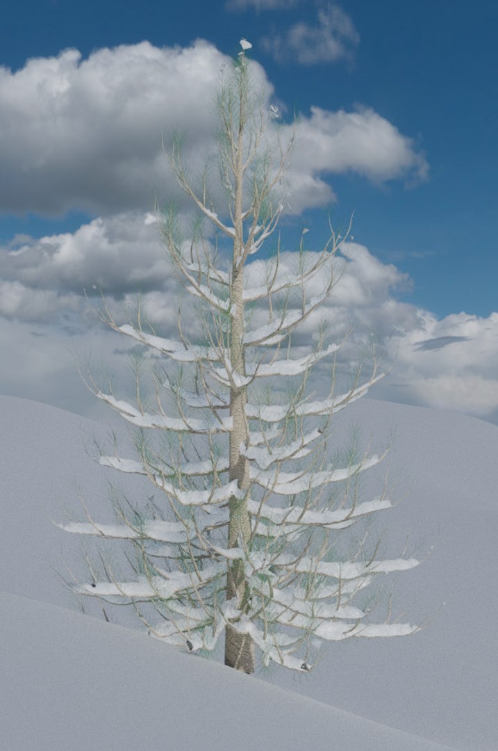 3D Snow Covered Pine Tree Model | 1147617 | TurboSquid