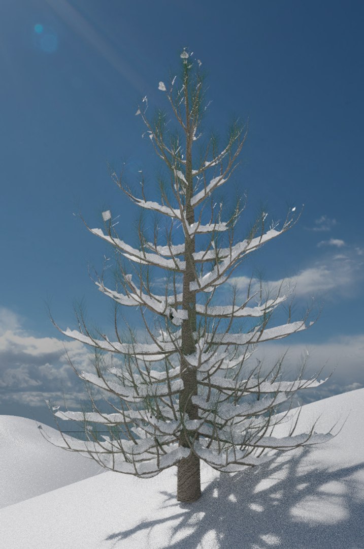 3D Snow Covered Pine Tree Model | 1147617 | TurboSquid