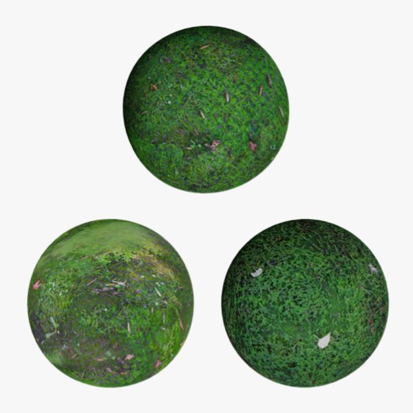 3D 3 Surface of Moss set model - TurboSquid 1845077