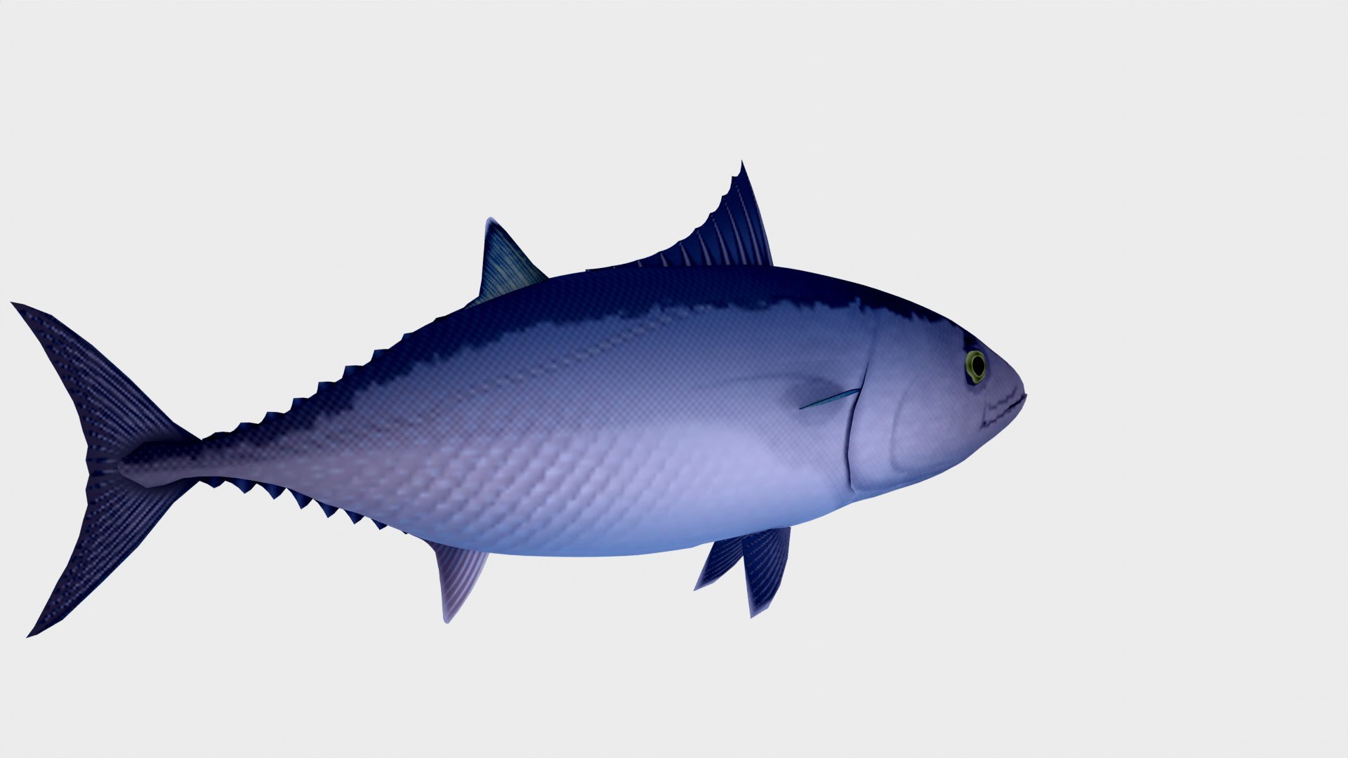 Longtail Tuna Fish 3D Model Low Poly 3D Model - TurboSquid 2242728