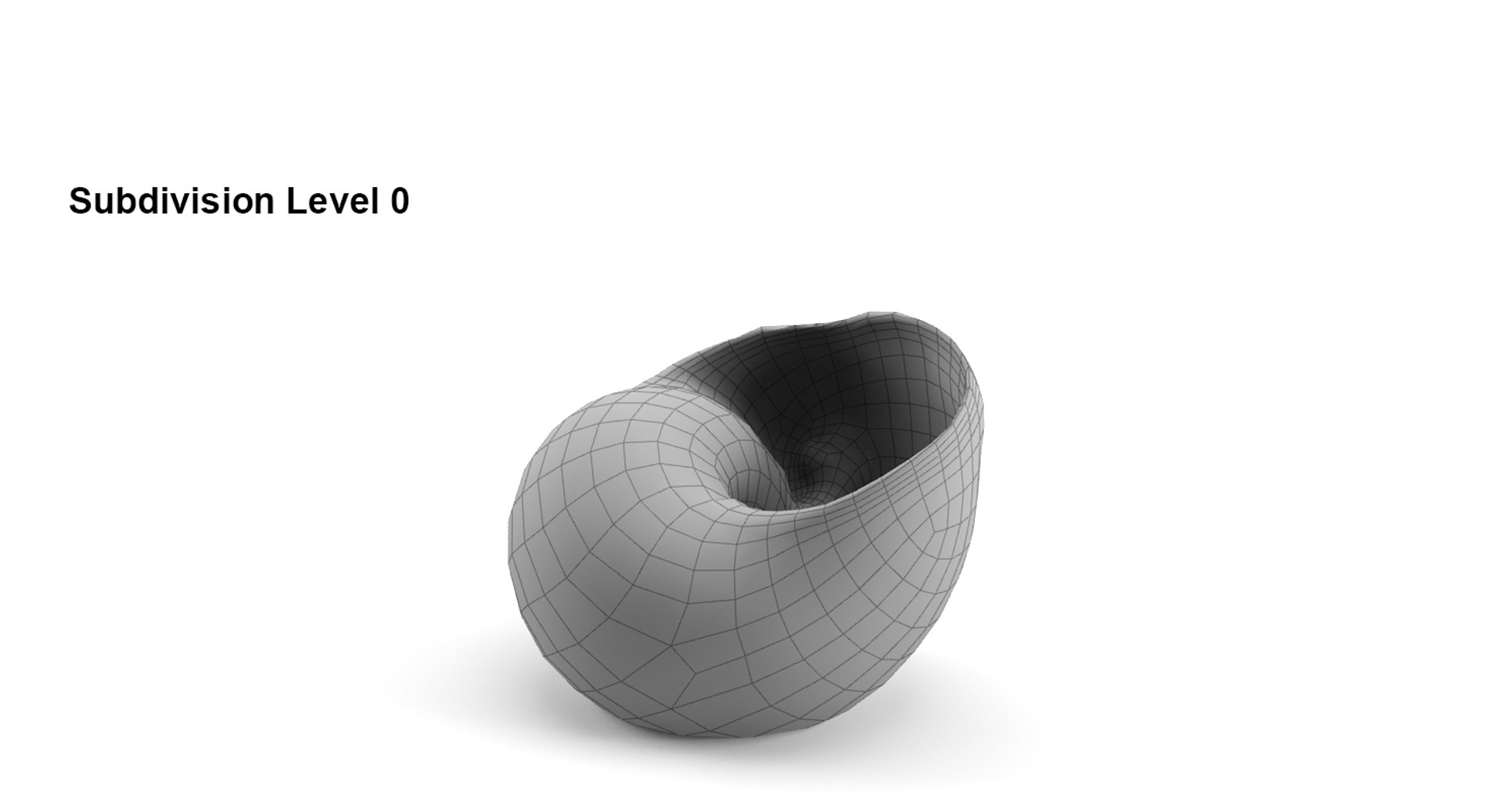 Realistic Snail Shell 3d Model