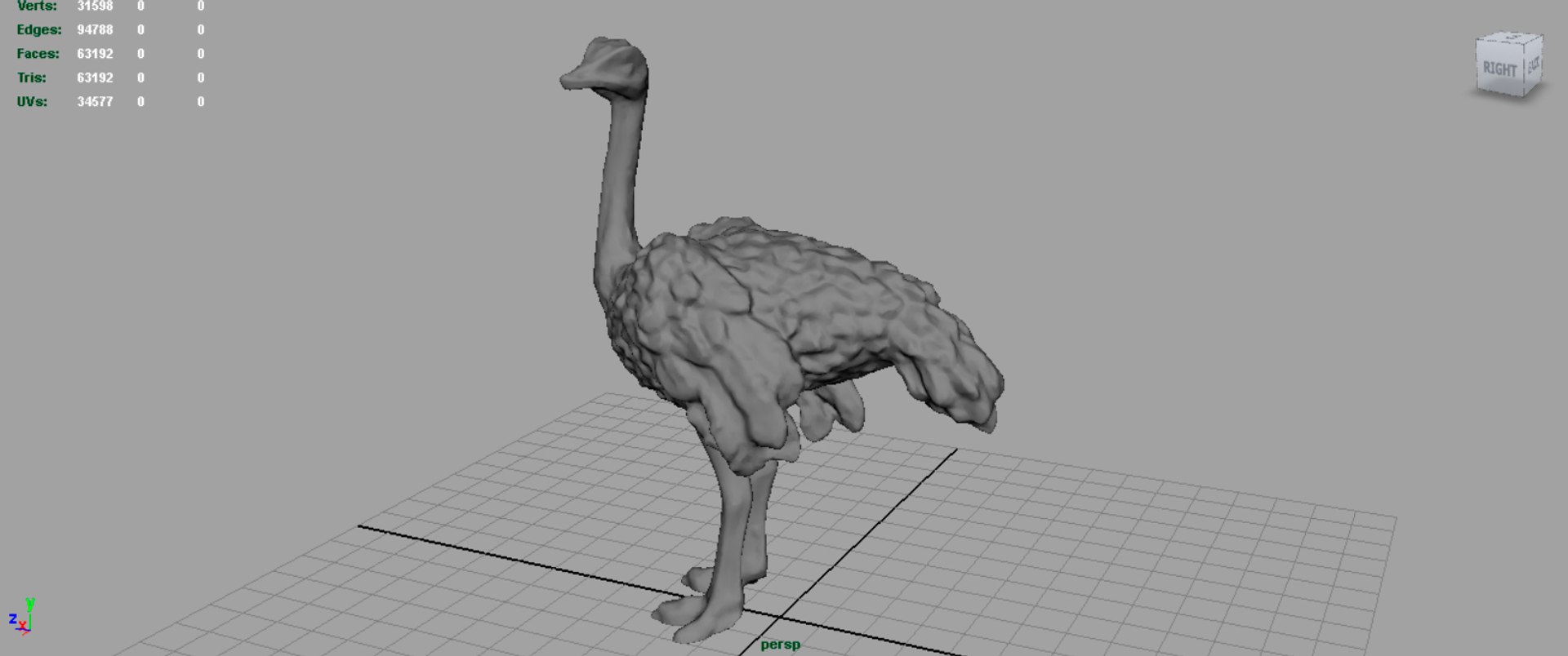 3d Model Of Ostrich