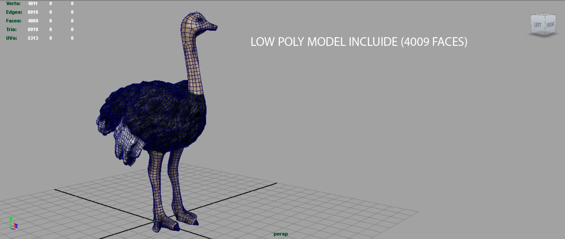 3d Model Of Ostrich