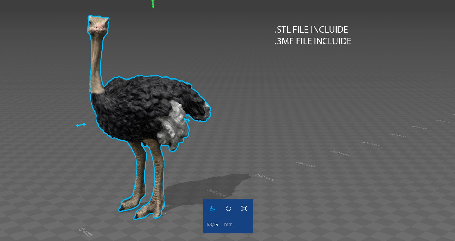 3d Model Of Ostrich