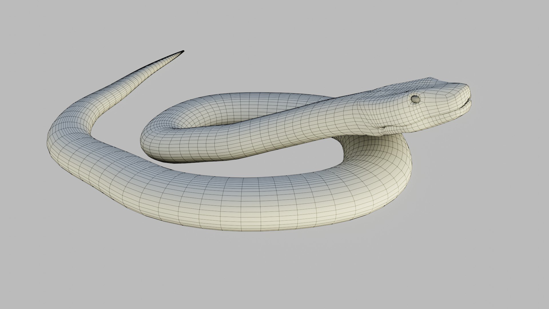 3D Model Russel Viper - Low Poly - Game Ready - Rigged - TurboSquid 2076745