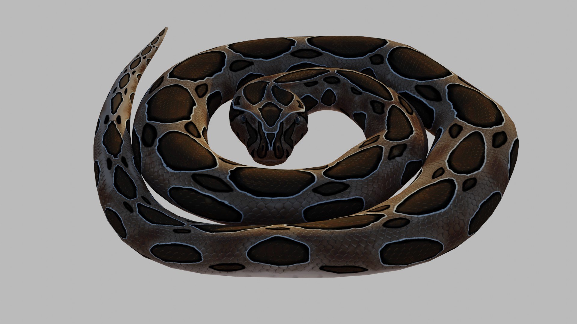 3D Model Russel Viper - Low Poly - Game Ready - Rigged - TurboSquid 2076745