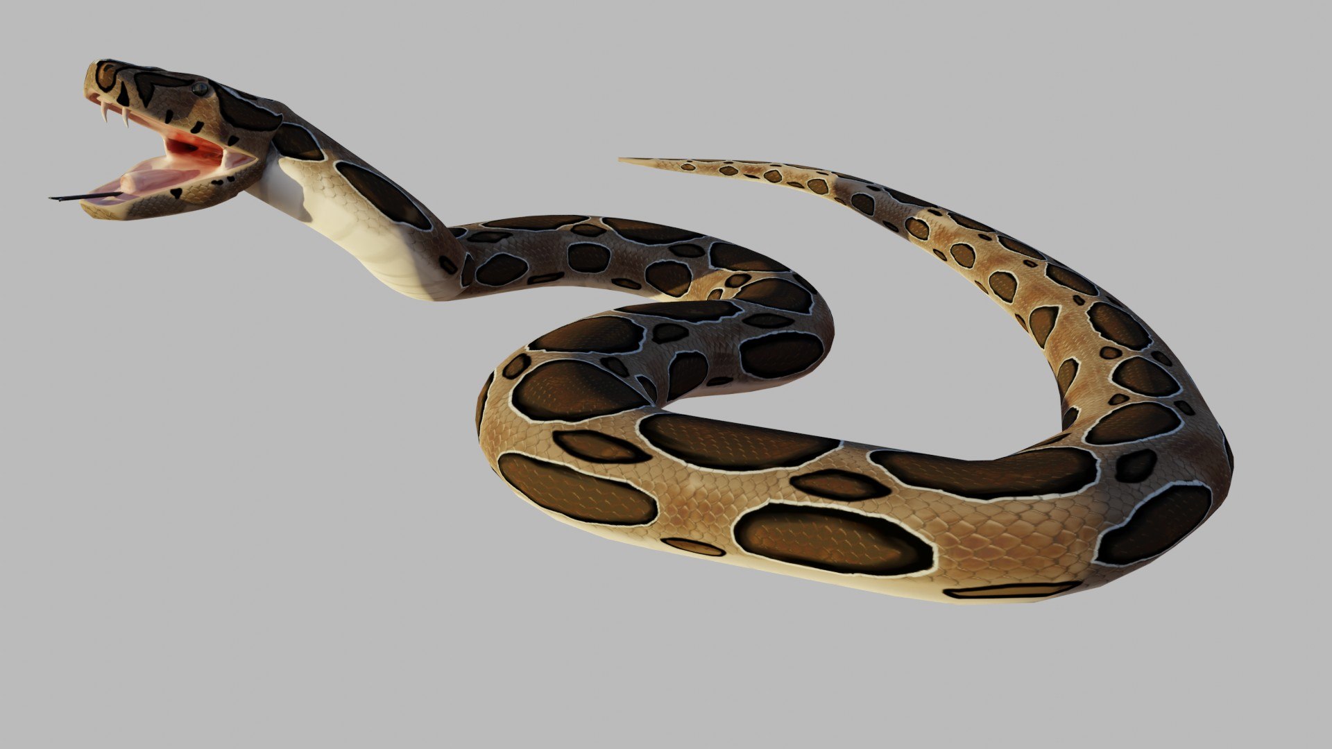 3D Model Russel Viper - Low Poly - Game Ready - Rigged - TurboSquid 2076745