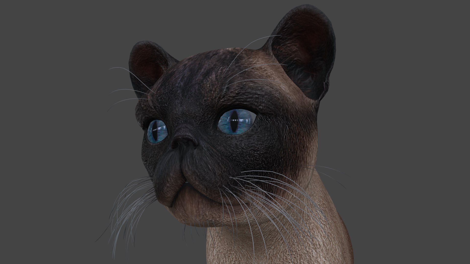 3D CAT-037 Model - TurboSquid 1969885