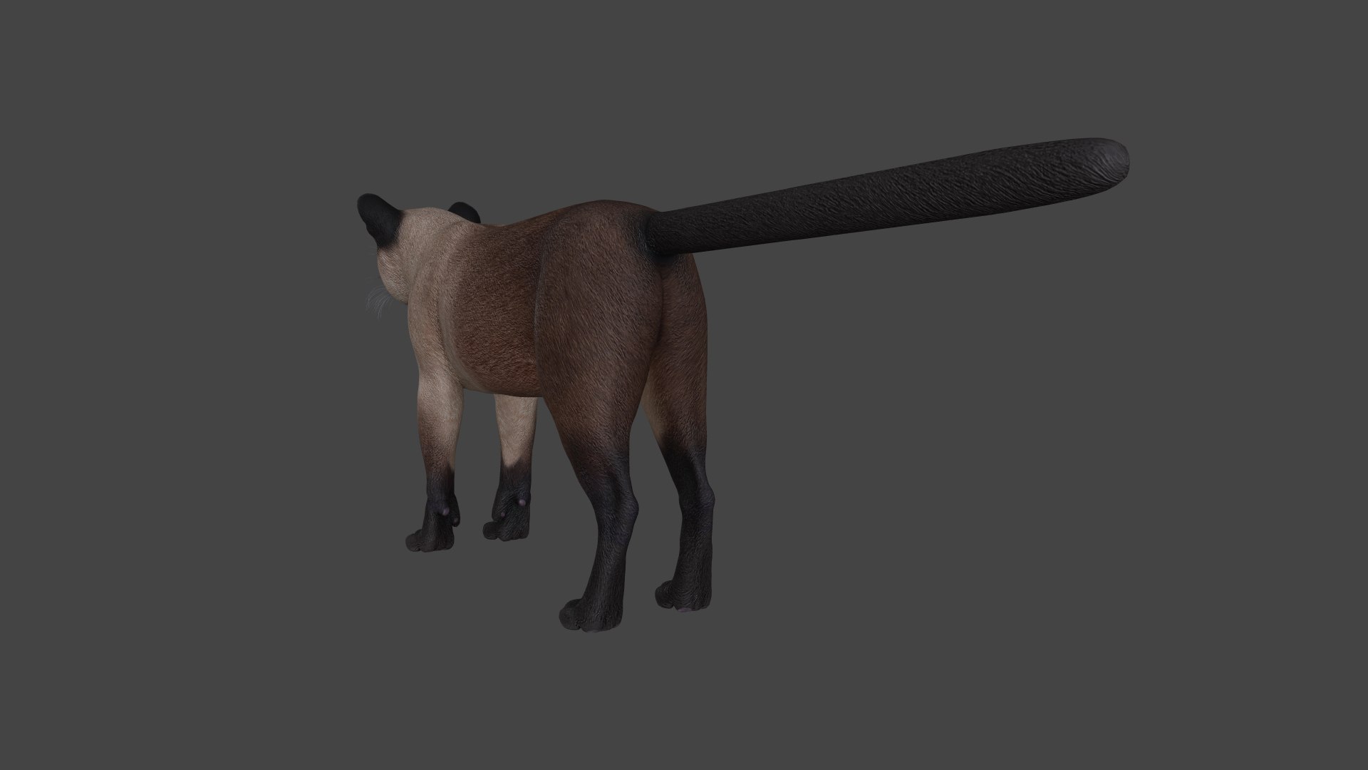 3D CAT-037 Model - TurboSquid 1969885