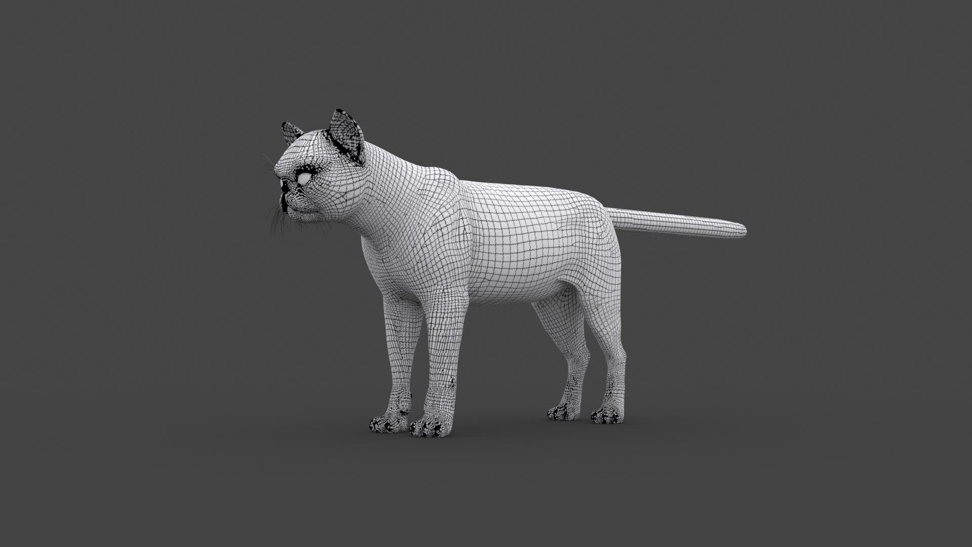 3D CAT-037 Model - TurboSquid 1969885