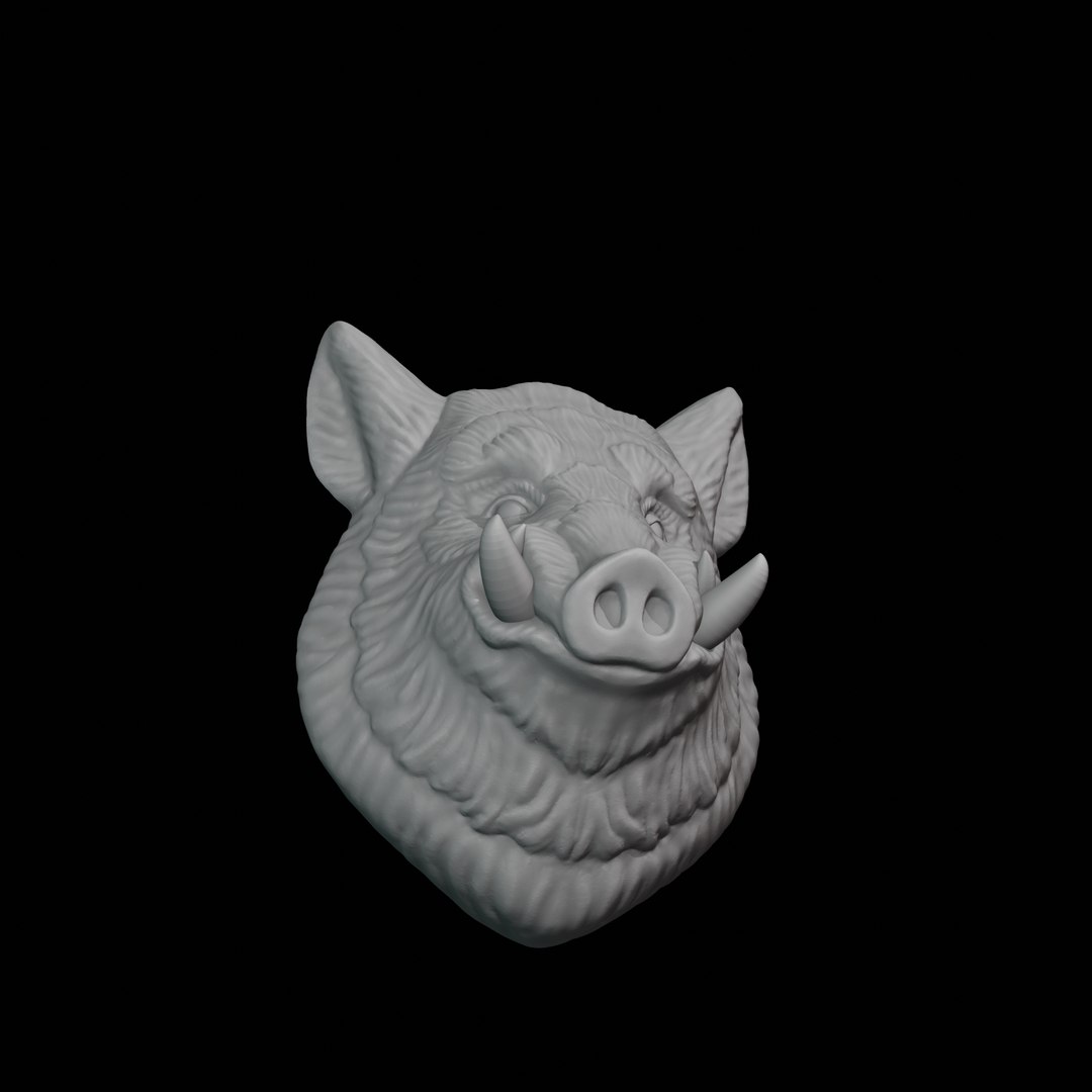 3D Model Boar Decor - TurboSquid 1831238