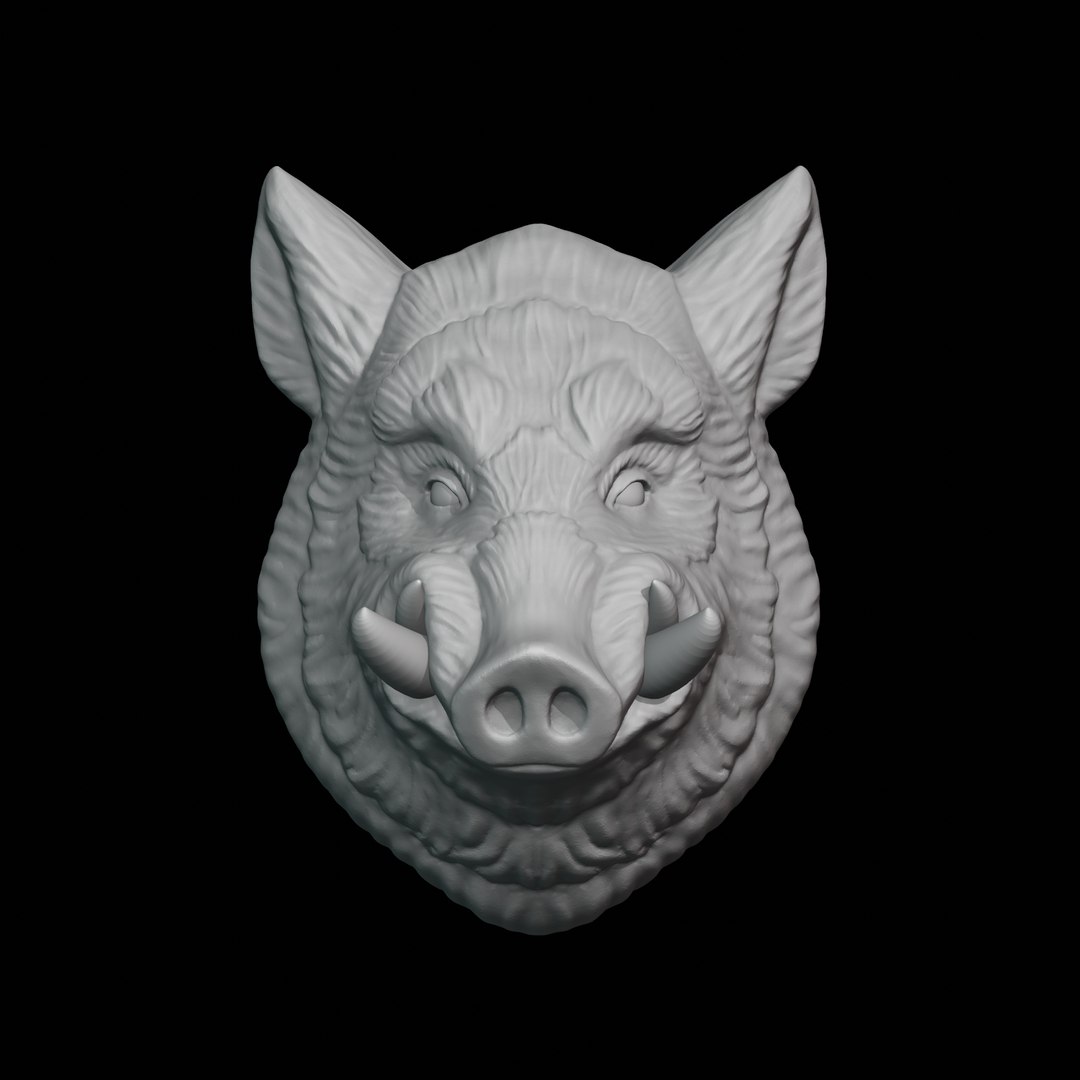 3D Model Boar Decor - TurboSquid 1831238