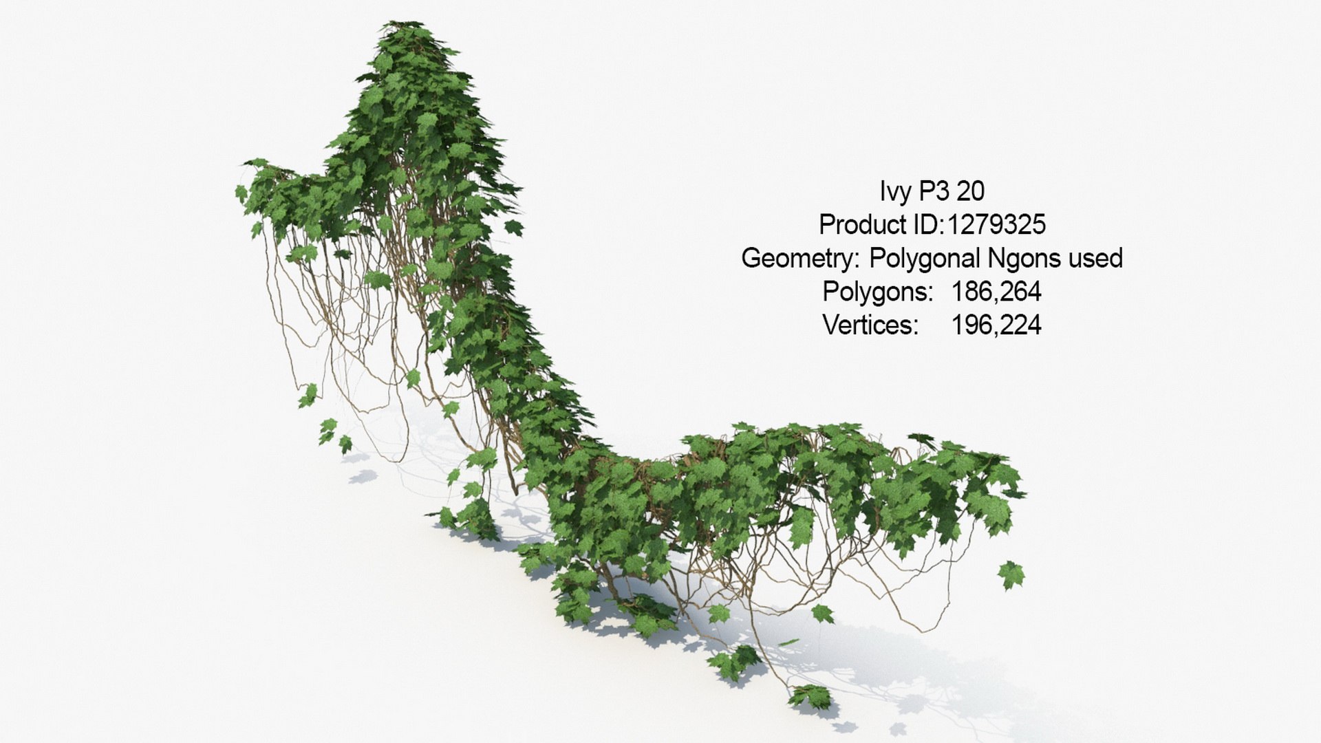 3D 43 Ivy Models Model - TurboSquid 1777912