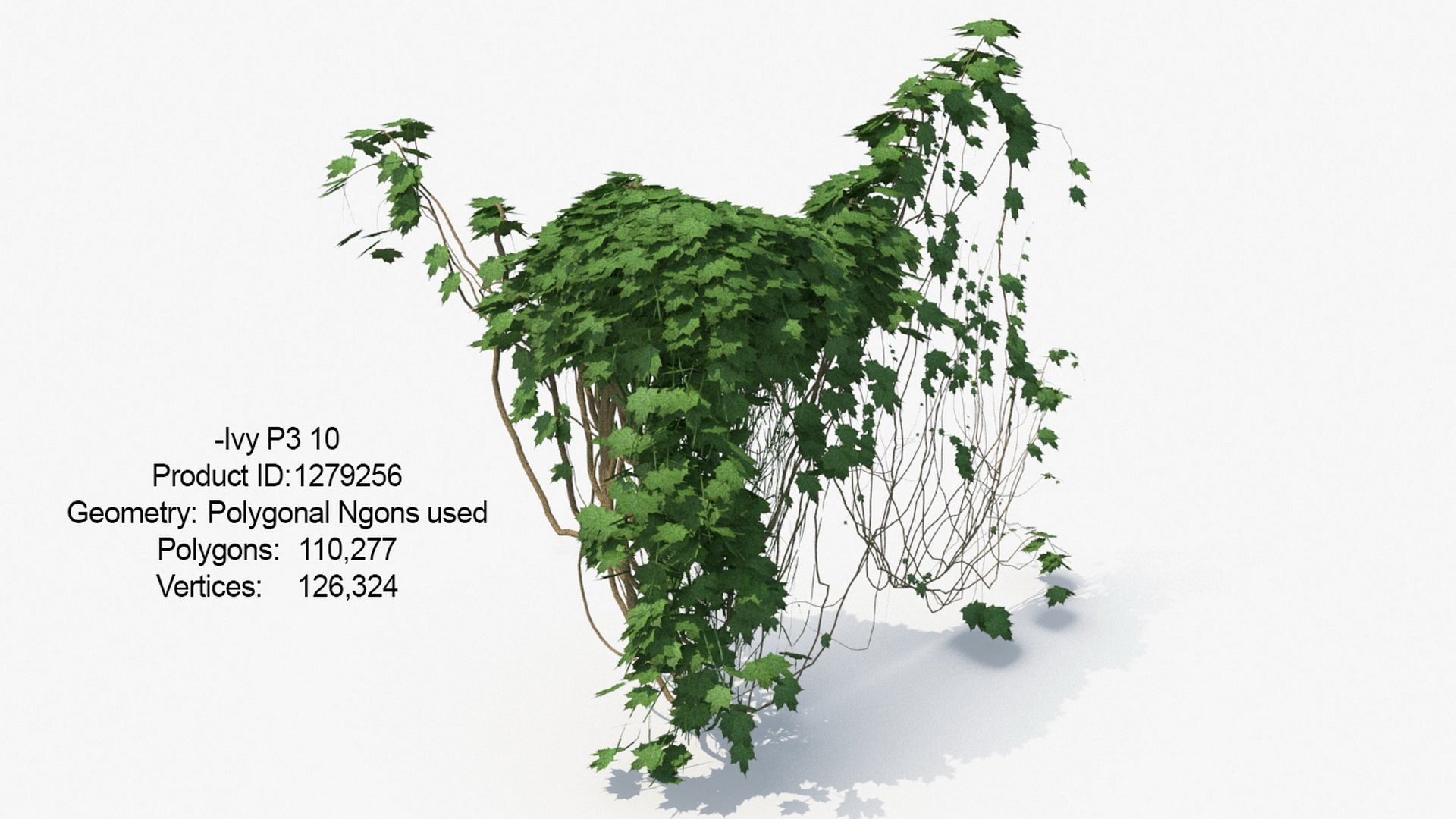 3D 43 Ivy Models Model - TurboSquid 1777912