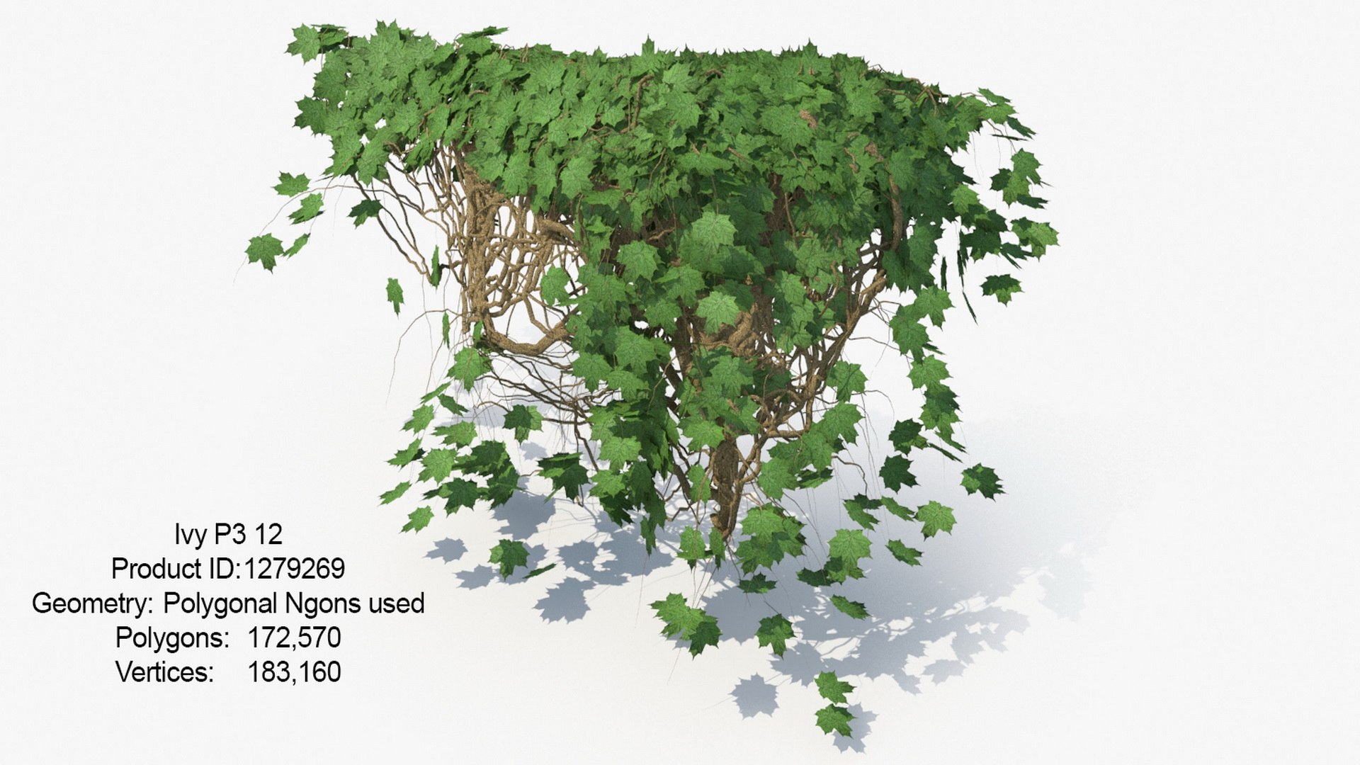 3D 43 Ivy Models Model - TurboSquid 1777912