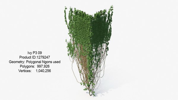 3D 43 Ivy Models model - TurboSquid 1777912