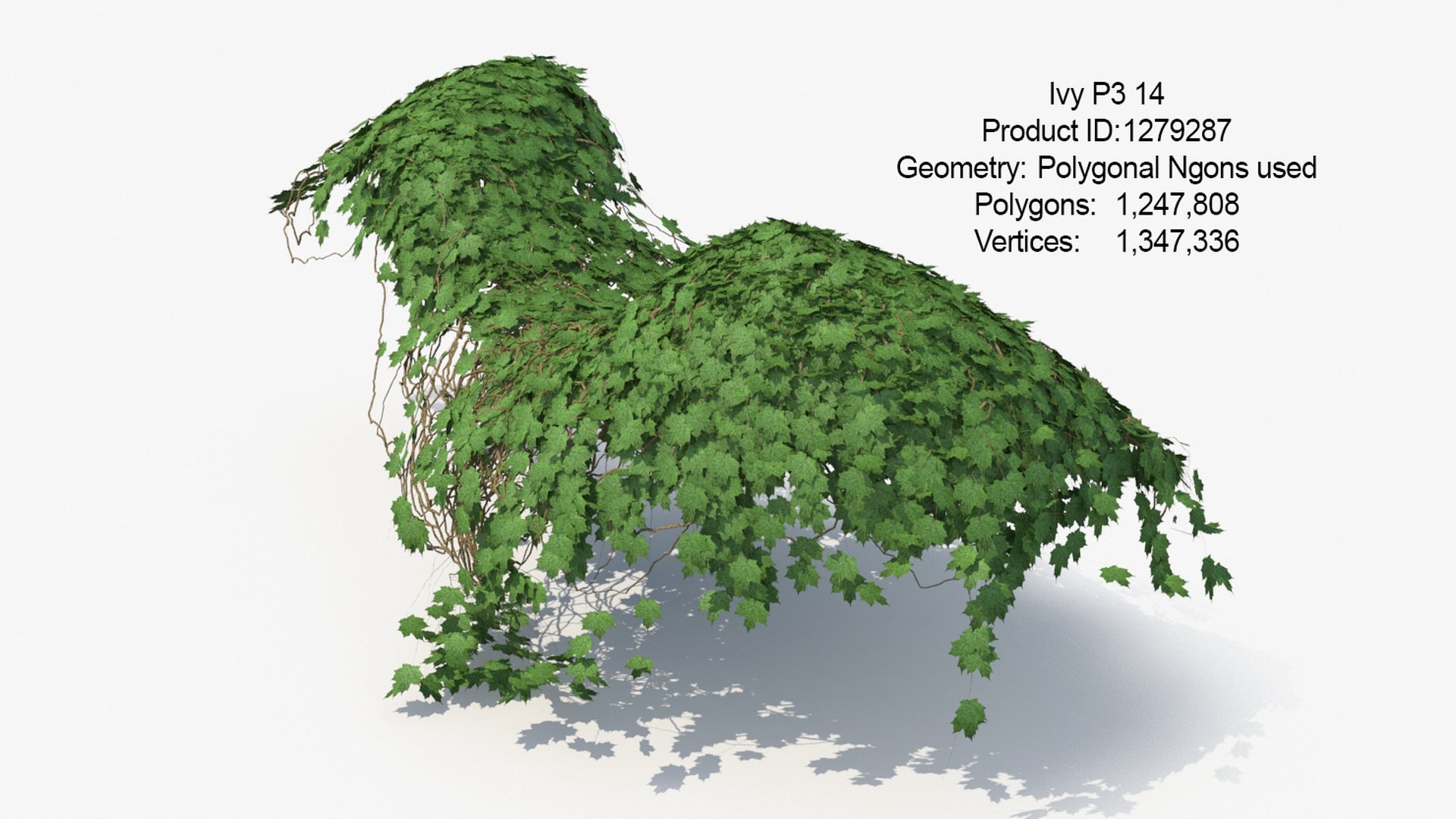 3D 43 Ivy Models Model - TurboSquid 1777912