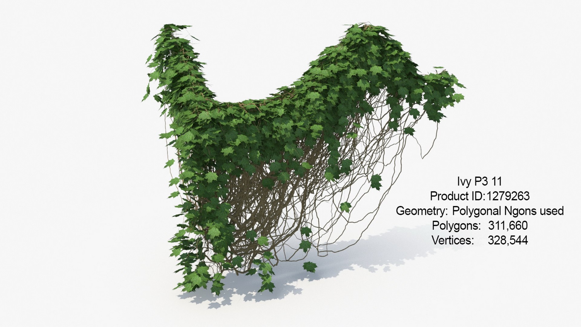 3D 43 Ivy Models Model - TurboSquid 1777912