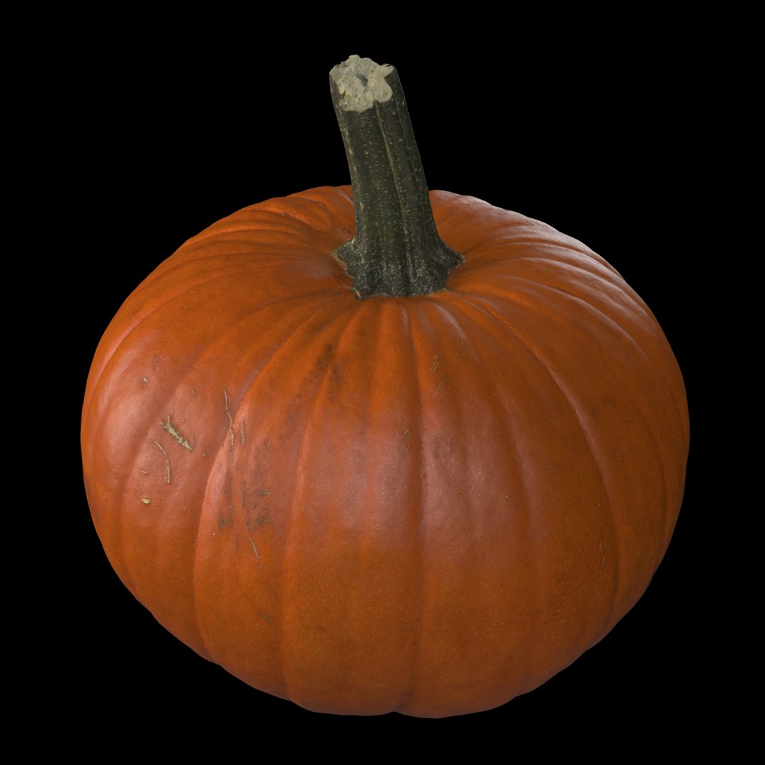 3D pumpkin - TurboSquid 1472357