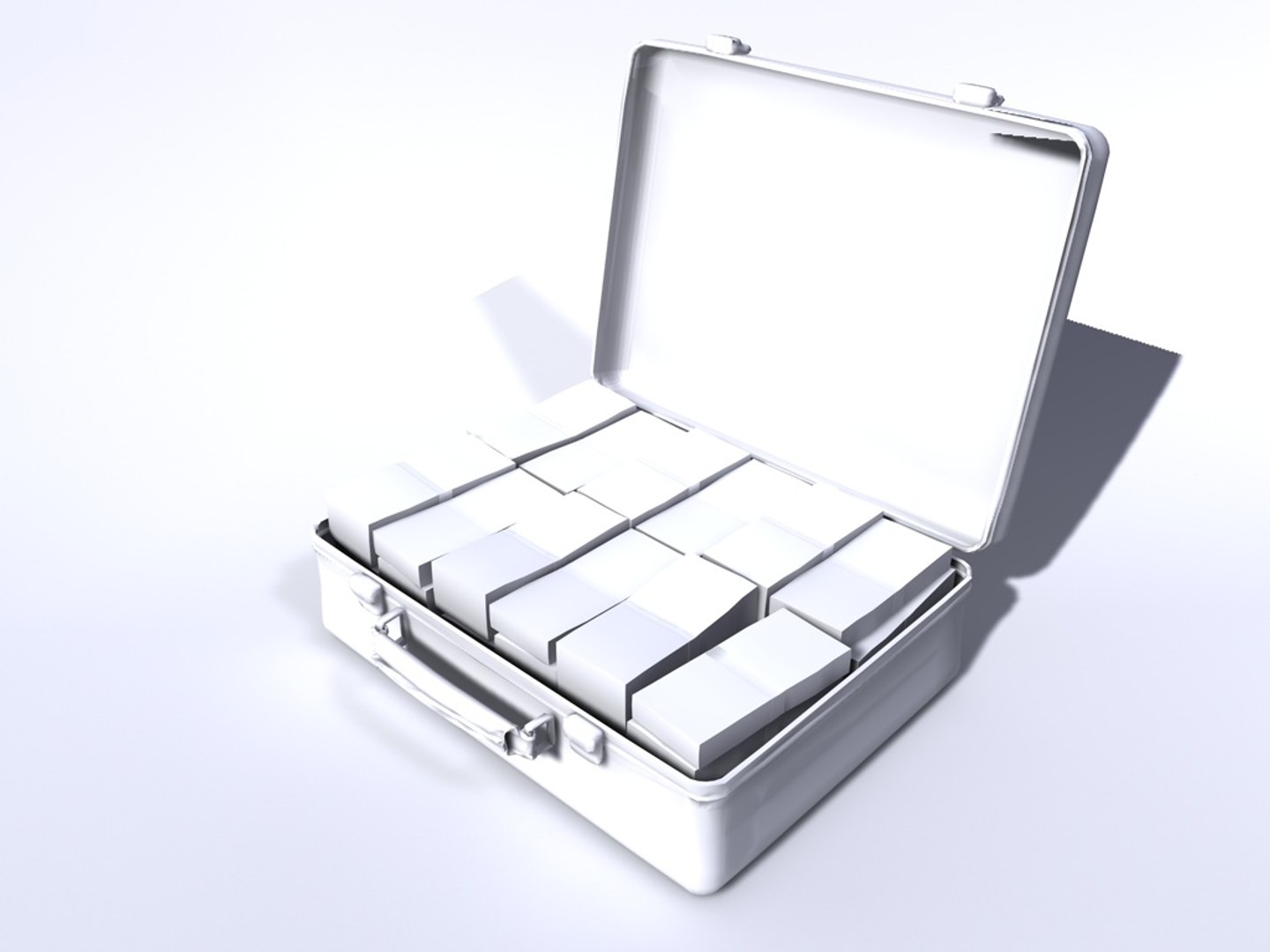 3d Case Money Model