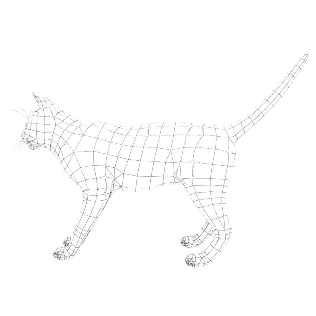 3d cat feline model