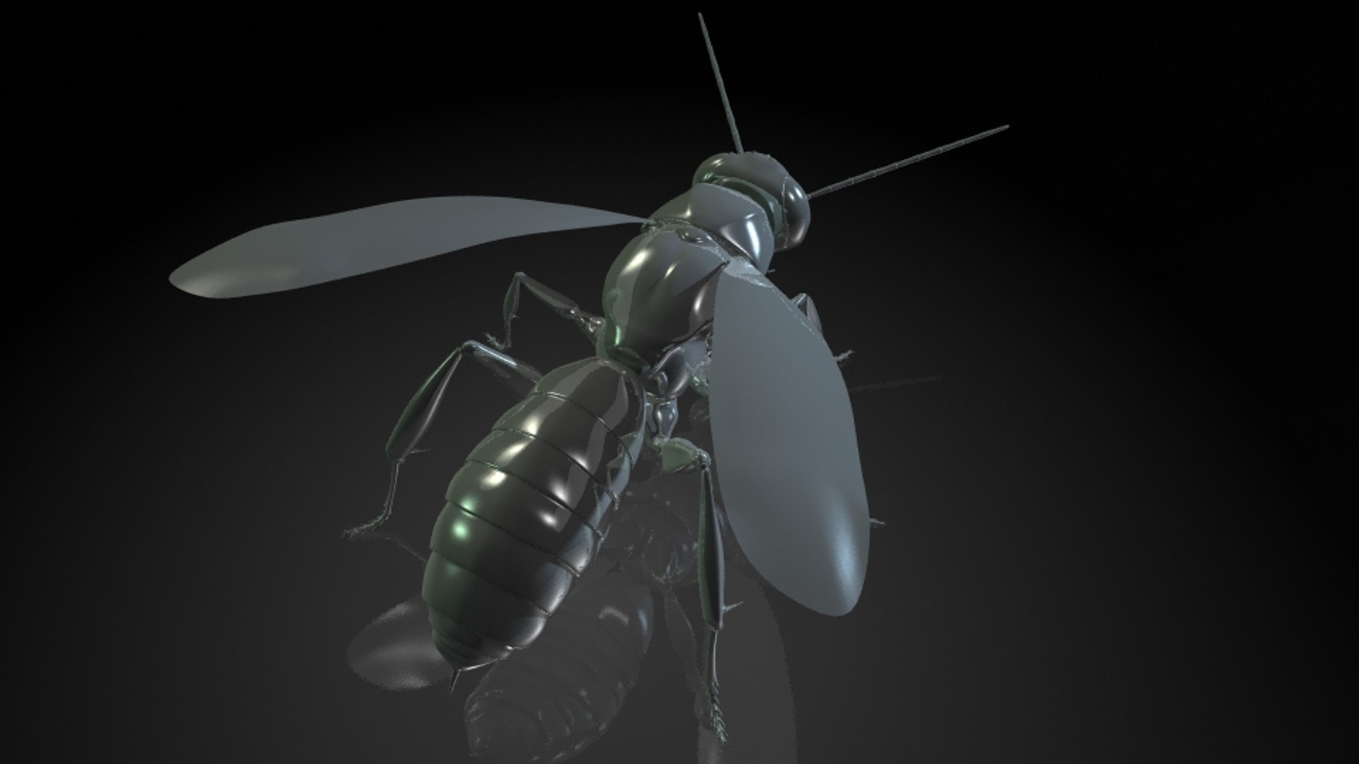 Tarantula Hawk Bee 3D - TurboSquid 1327107