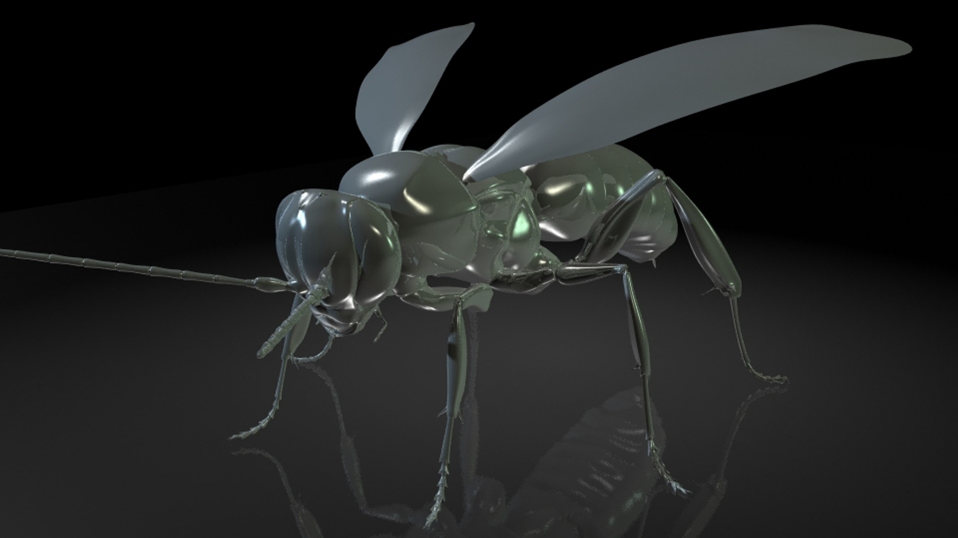 Tarantula Hawk Bee 3D - TurboSquid 1327107