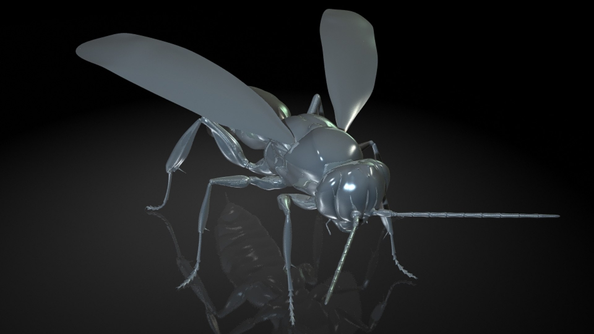 Tarantula Hawk Bee 3D - TurboSquid 1327107