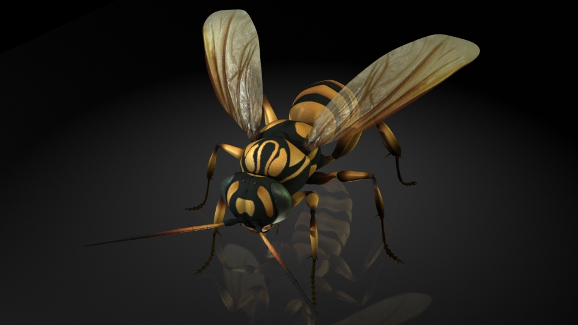 Tarantula Hawk Bee 3D - TurboSquid 1327107