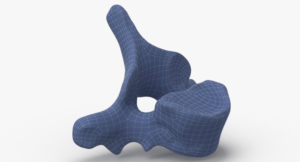 Thoracic vertebrae th1 th12 3D model - TurboSquid 1588658