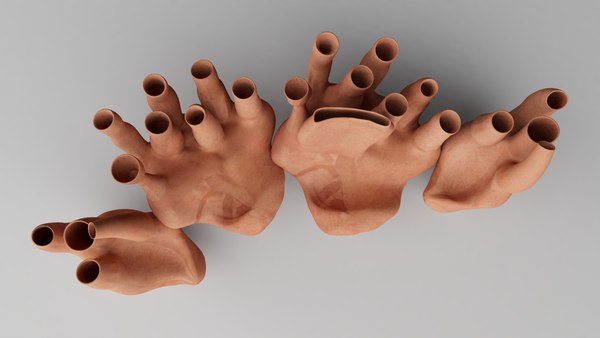 modelo 3d Endoplasmic Reticulum - TurboSquid 2015670