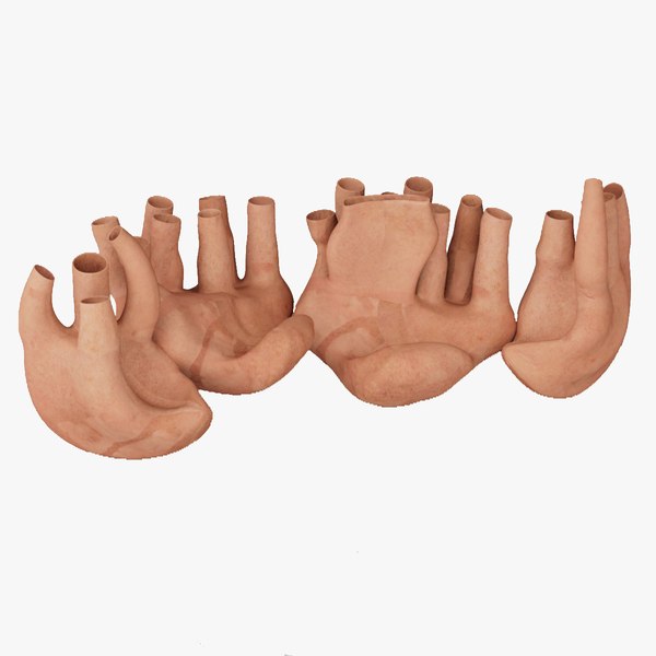 Endoplasmic Reticulum 3D 모델 - TurboSquid 2015670