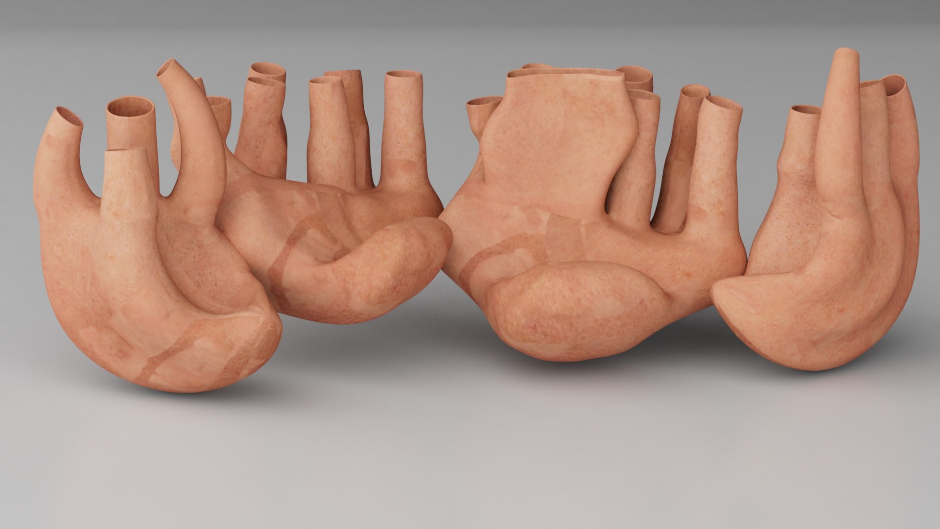 3D Endoplasmic Reticulum Model - TurboSquid 2015670
