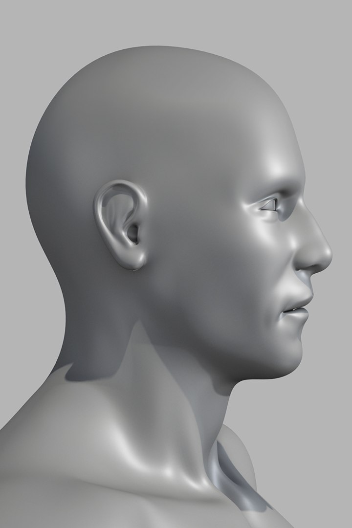 Male Body 3d Model