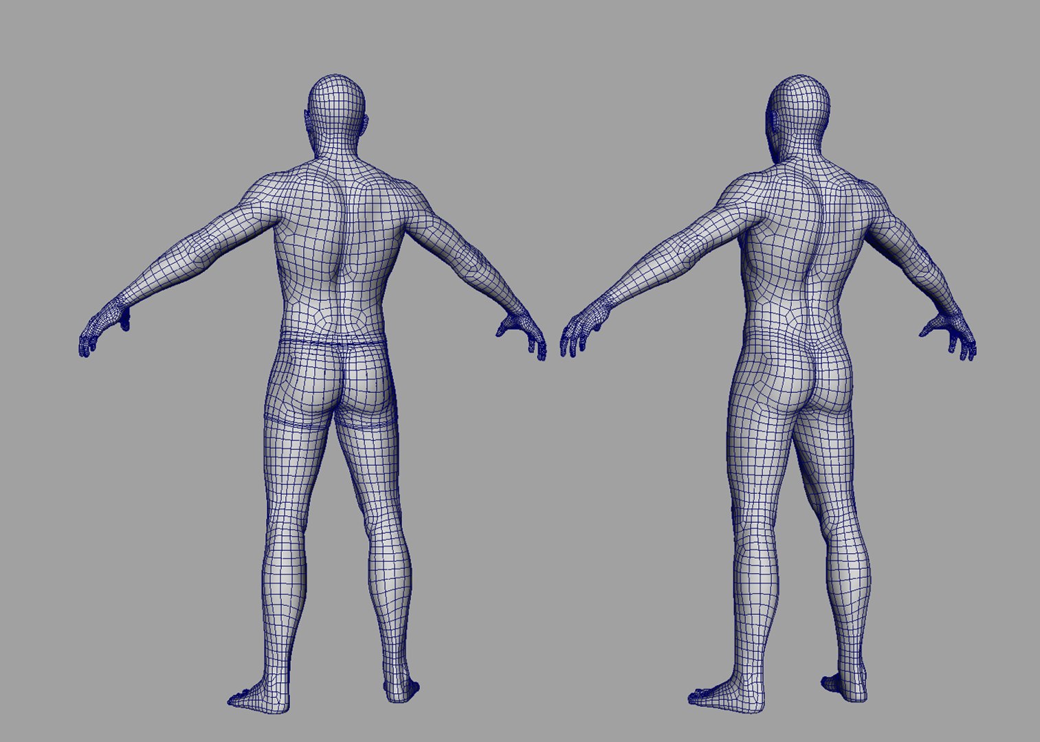 Male Body 3d Model