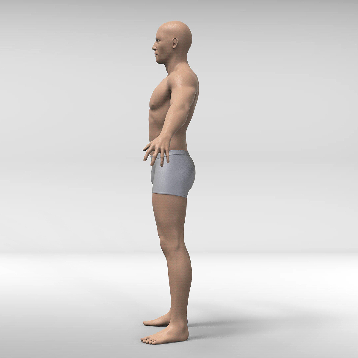 male body 3d model