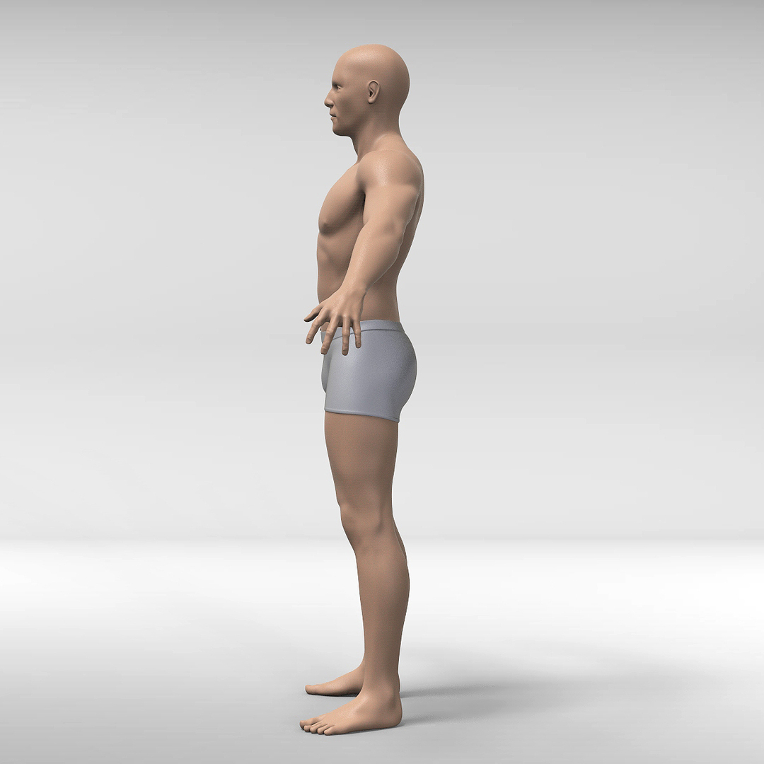 male body 3d model
