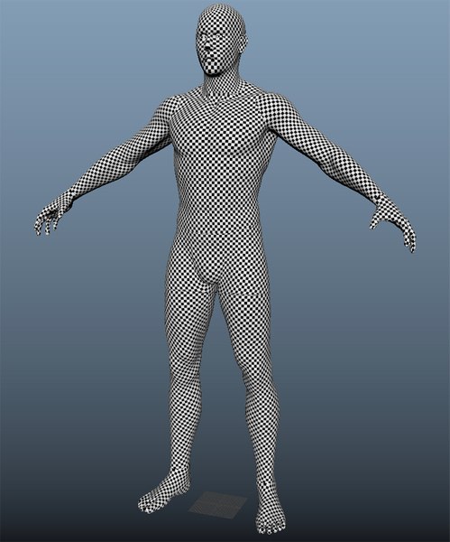 male body 3d model