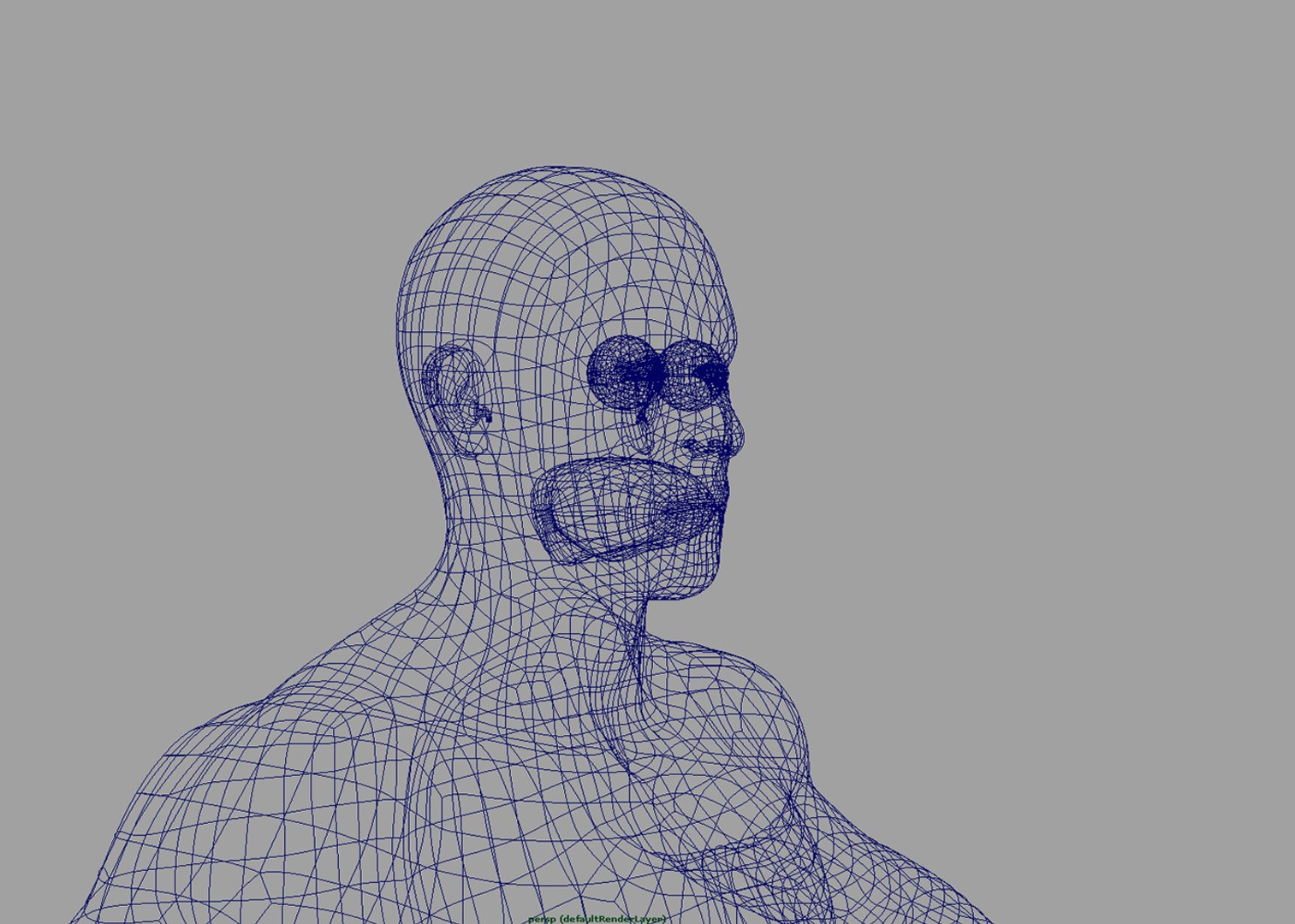Male Body 3d Model