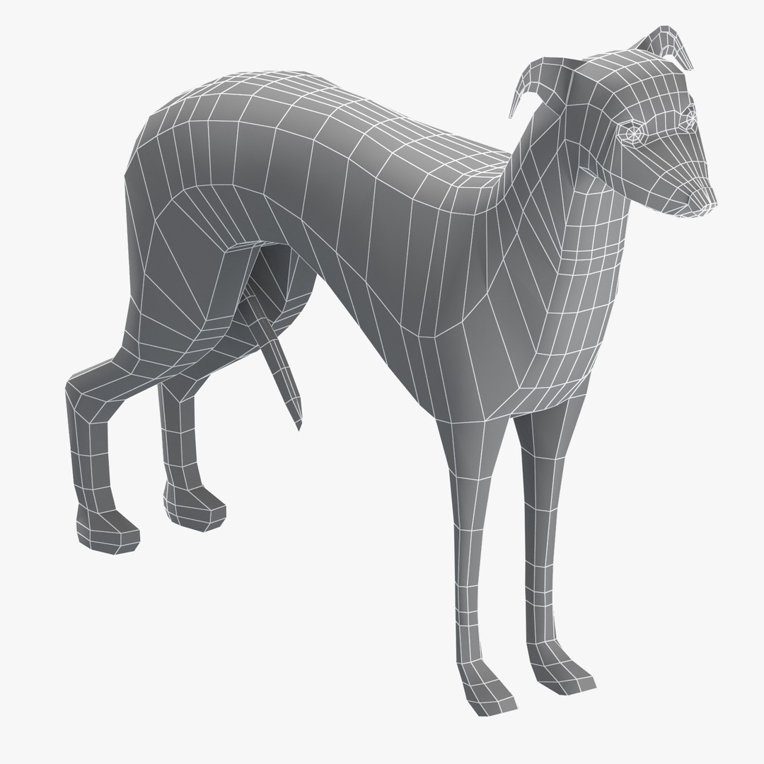 Base Mesh Greyhound Dog Model - TurboSquid 1159845