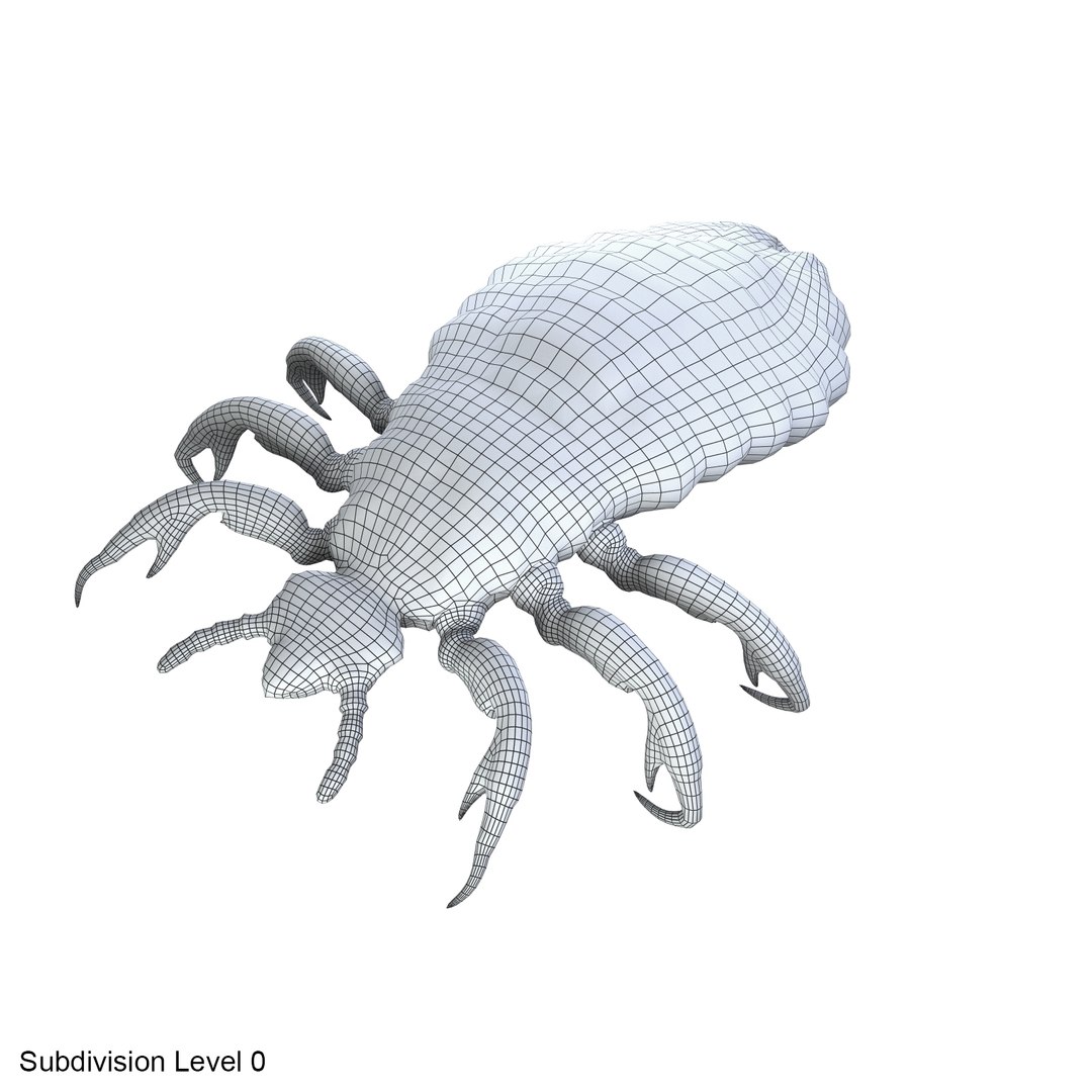 3d Model Hair Louse