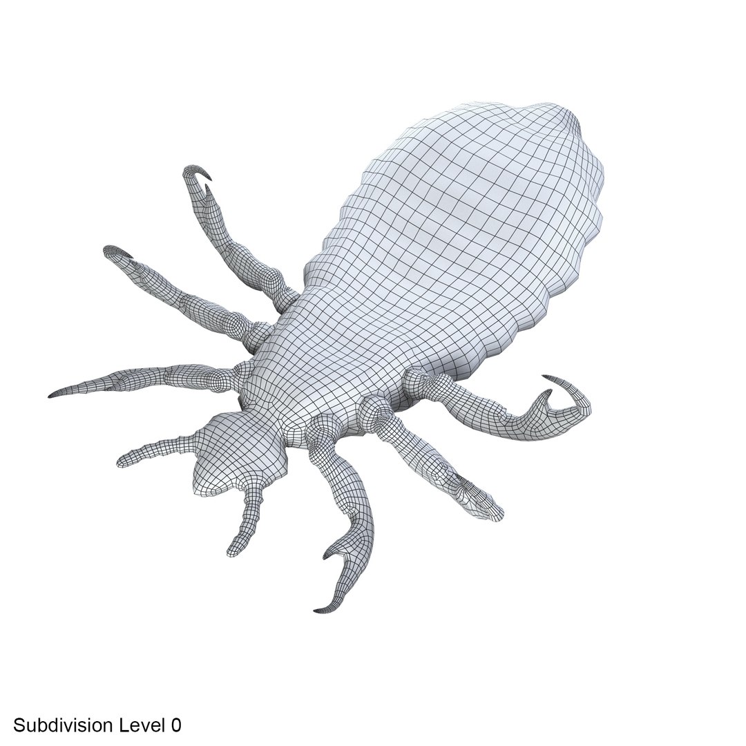 3d Model Hair Louse
