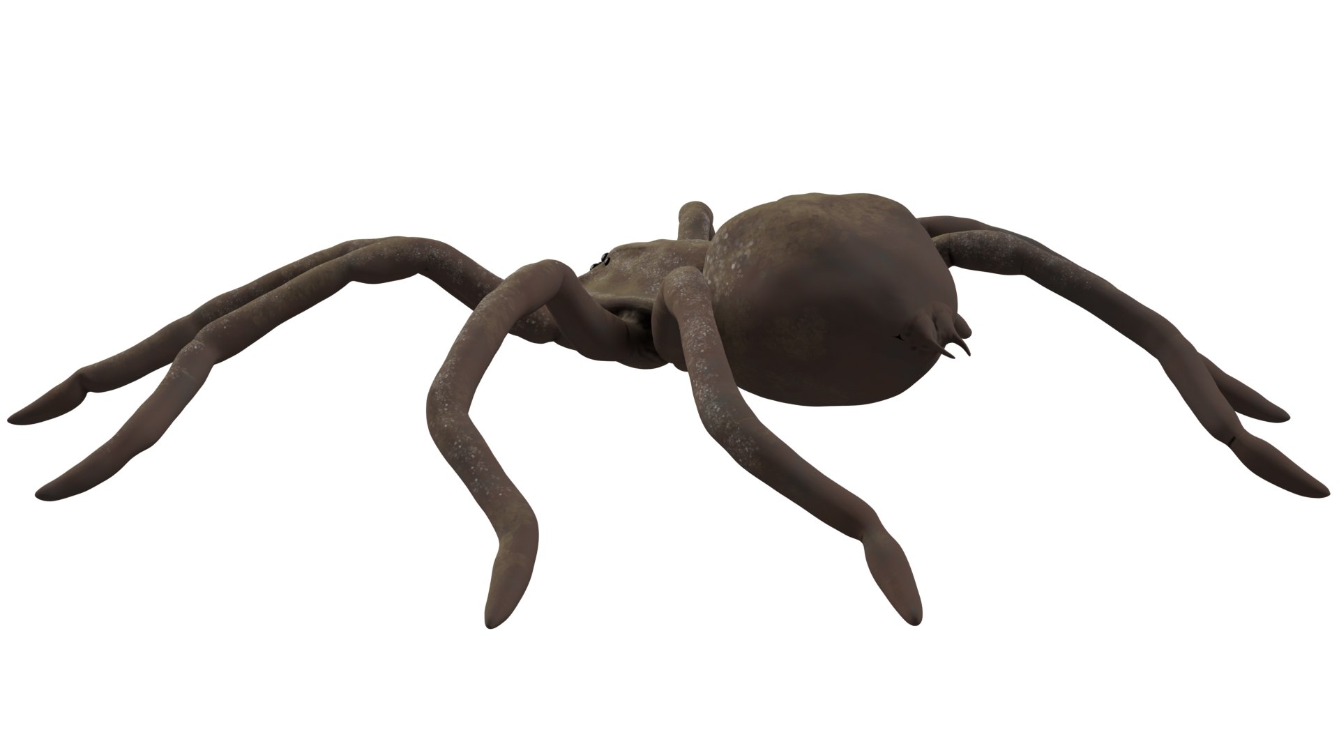 3D Spider Model - TurboSquid 2215197