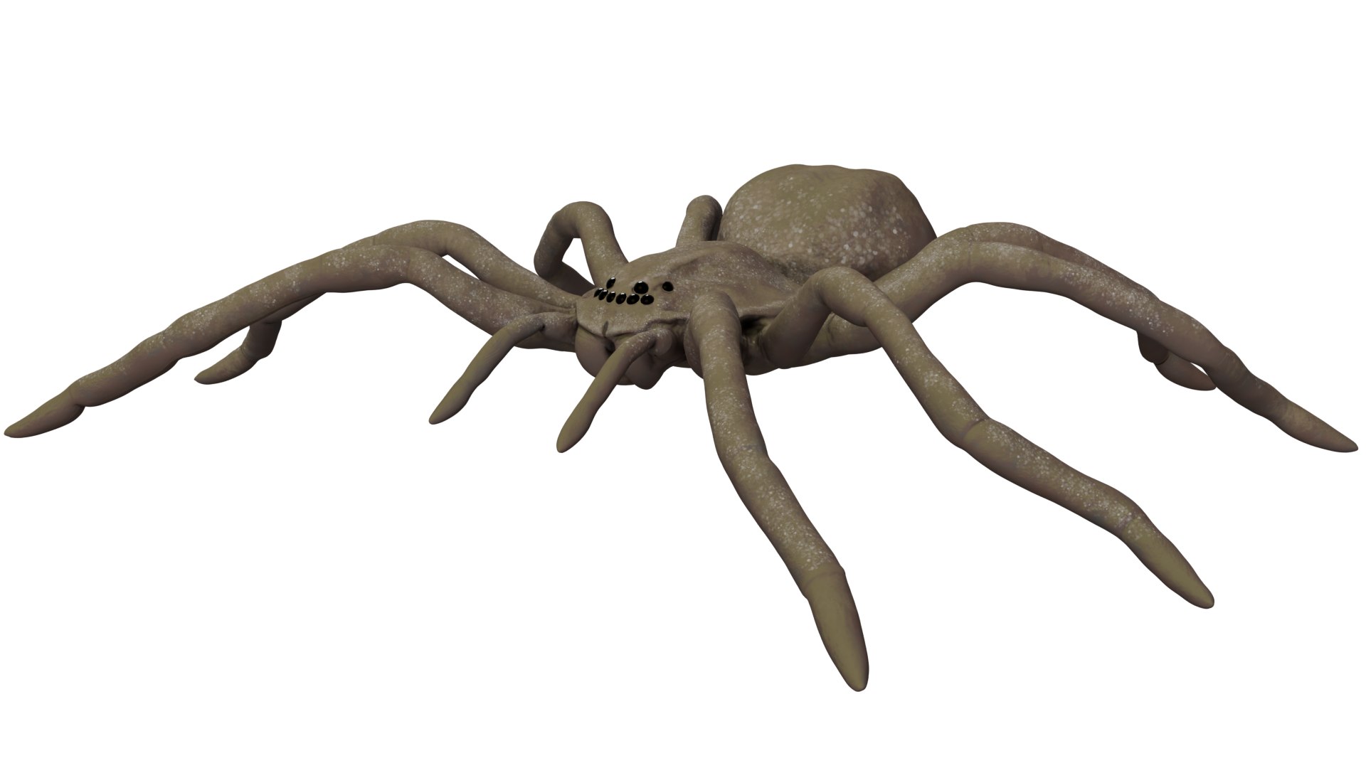 3D Spider Model - TurboSquid 2215197