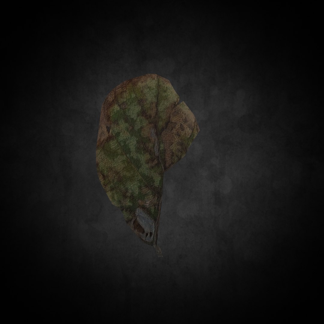 3D Low Poly Leaf 032 - TurboSquid 1852383